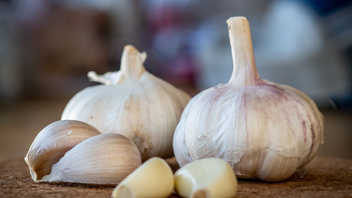 उत्तर प्रदेश हाईकोर्ट में पहुंचा चाइनीज लहसुन, असली-नकली पर होगा फैसला ...