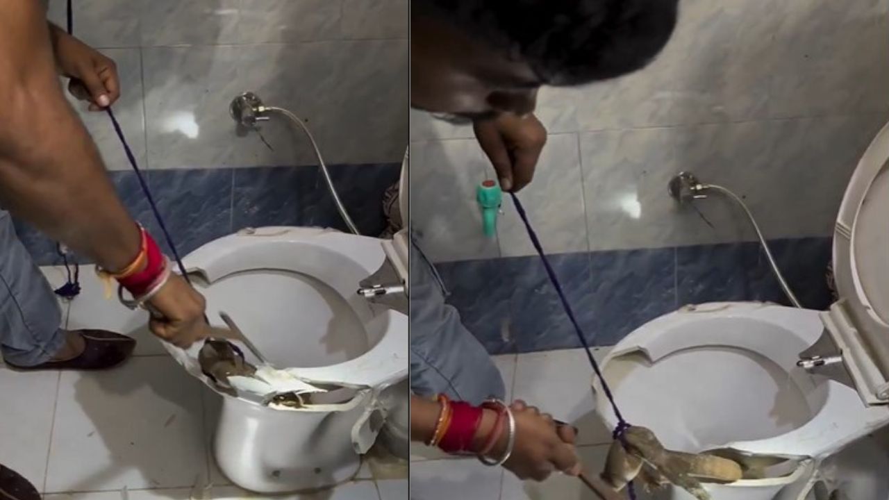Latrine का सांप! कमोड के अंदर निकली बड़ी छिपकली की शख्स ने ऐसी बचाई जान ...