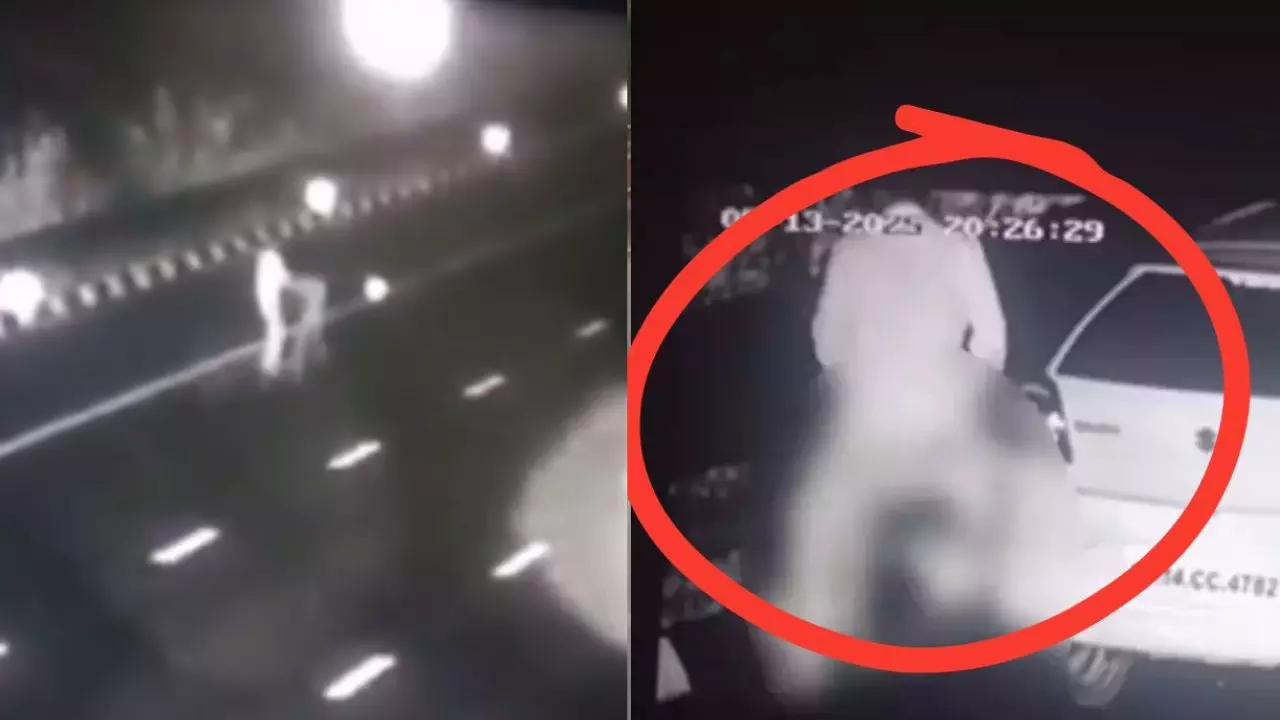 हाईवे पर 'नेता जी' का पहले सेक्स कांड, फिर धाकड़ डांस | mandsaur ...