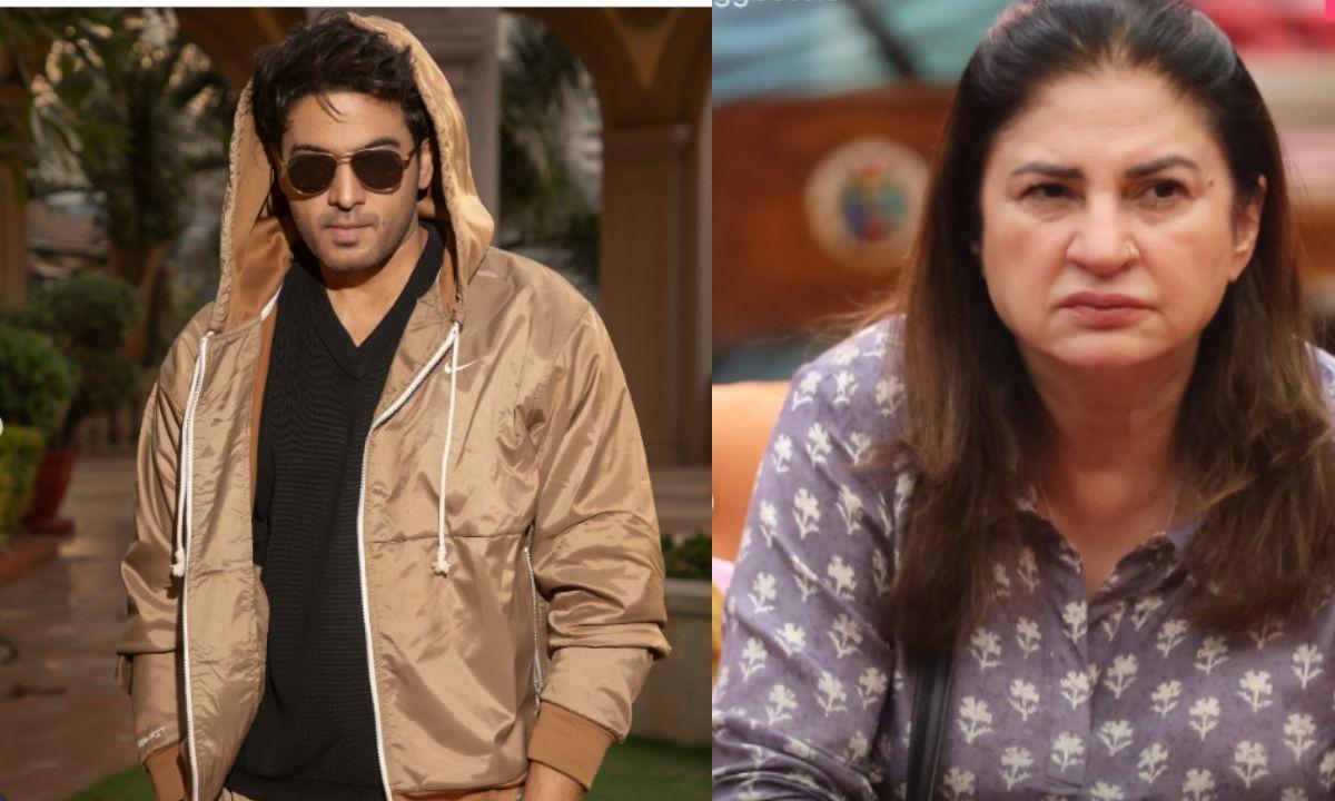 Bigg Boss 19: तान्या से लेकर गौरव तक, इतने पढ़े-लिखे हैं कंटेस्टेंट्स