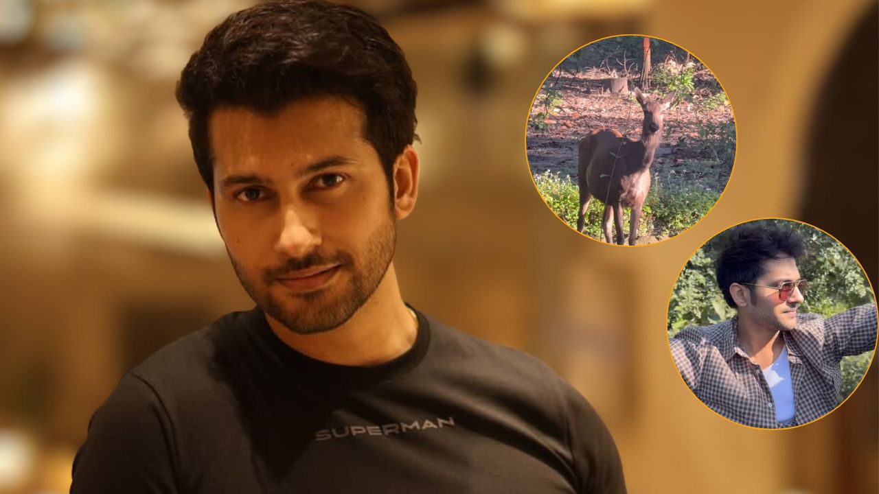टीवी एक्टर Namish Tanej पहुंचे उत्तराखंड, शेयर किया कॉर्बेट टाइगर ...