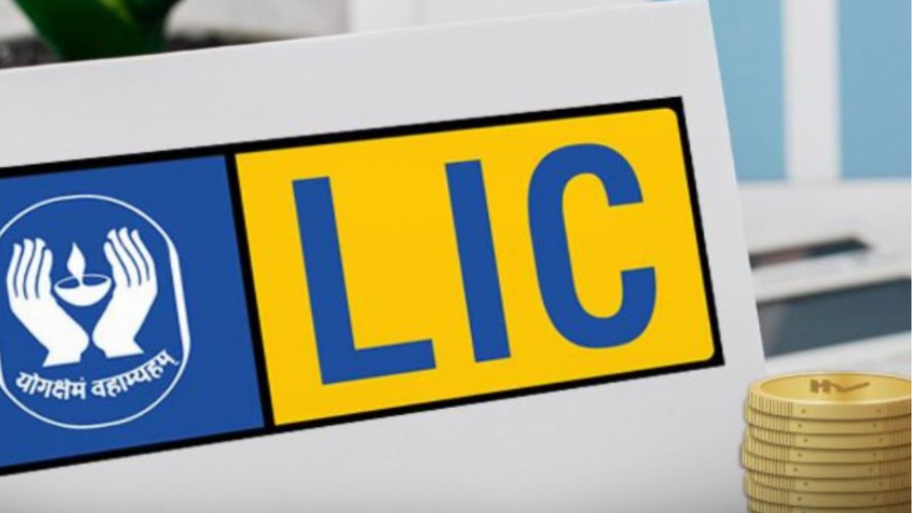 LIC Share Bonus Issue: 50% गिरा शेयर देखकर घबराए निवेशक, Why LIC Stock ...